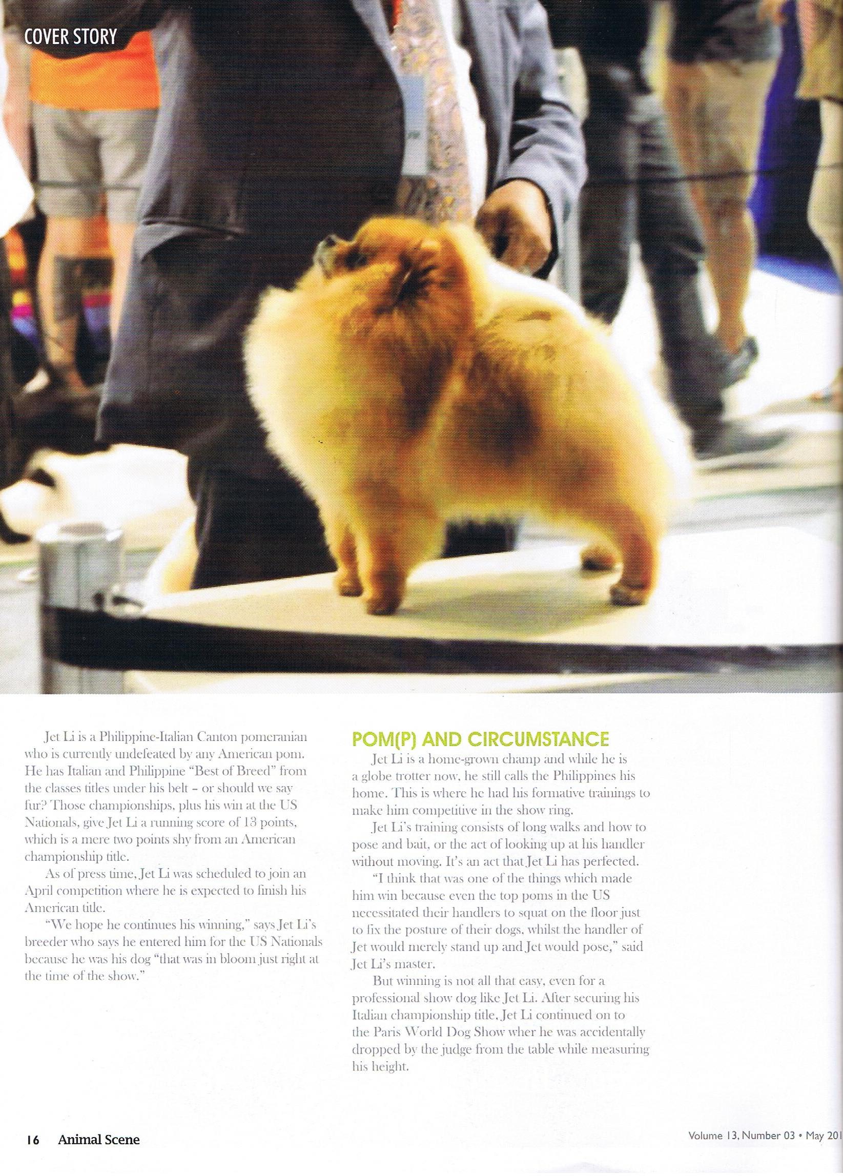 2013, May-Animal Scene:Pomp & Glory | Canton Pomeranians